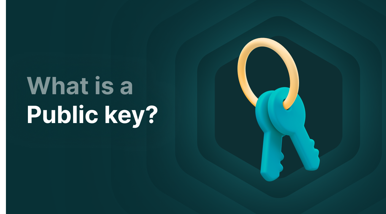 ¿Qué es una public key? | Academia Cripto